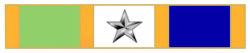 The New York City Police Department Medals and Awards