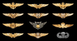 What Are The U.S. Marine Corps Badges? An In-Depth Description