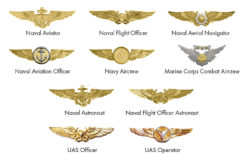 What Are The U.S. Marine Corps Badges? An In-Depth Description
