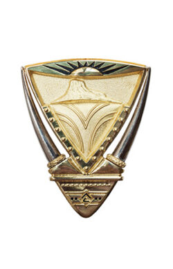 The Order of Luthuli - Republic of South African Medals